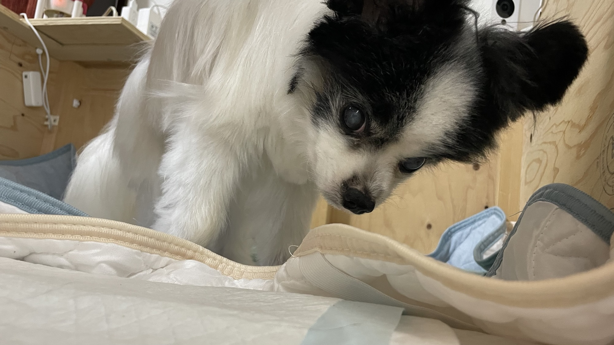 お互い歳だからね | Drummer Chimuken’s Blog